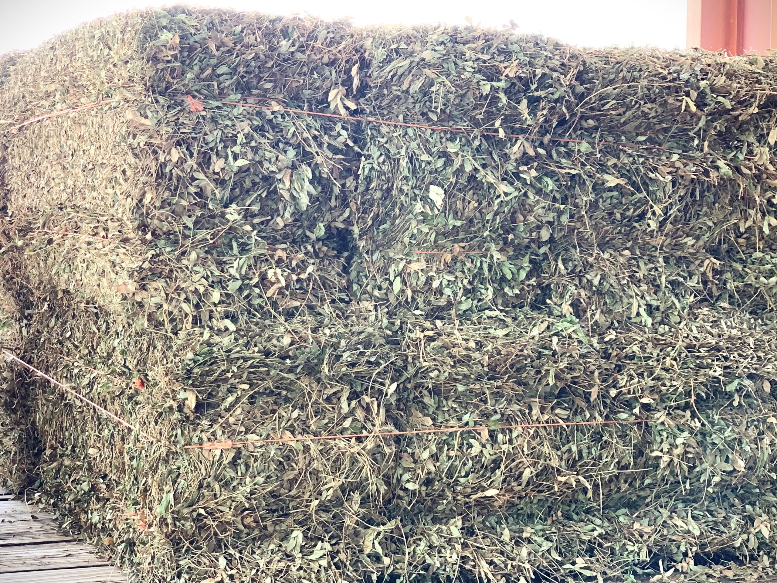 Peanut Hay Bale Dimensions